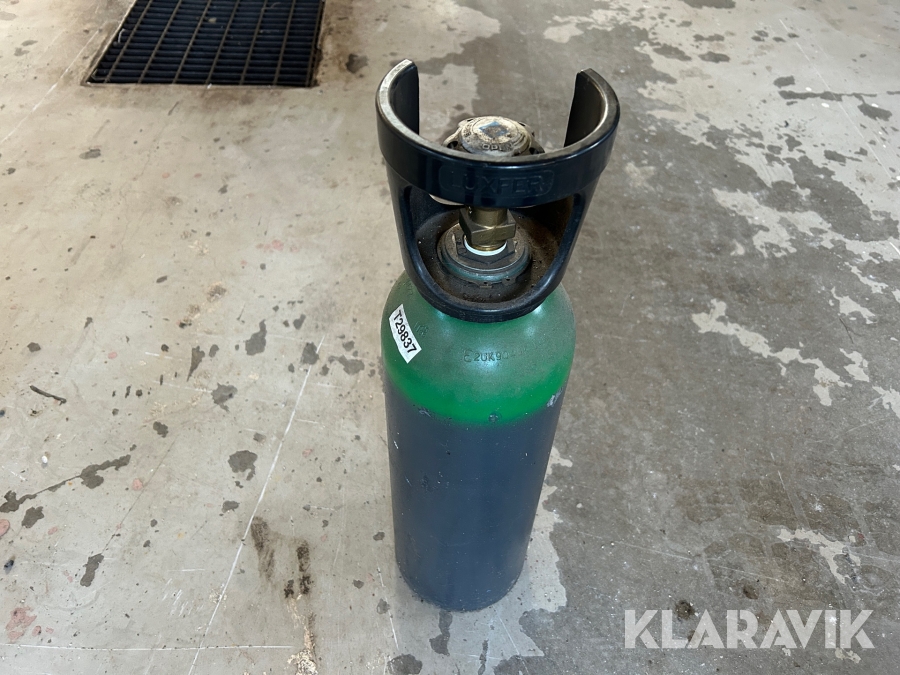 Gastub Argon, Timrå, Klaravik auktioner